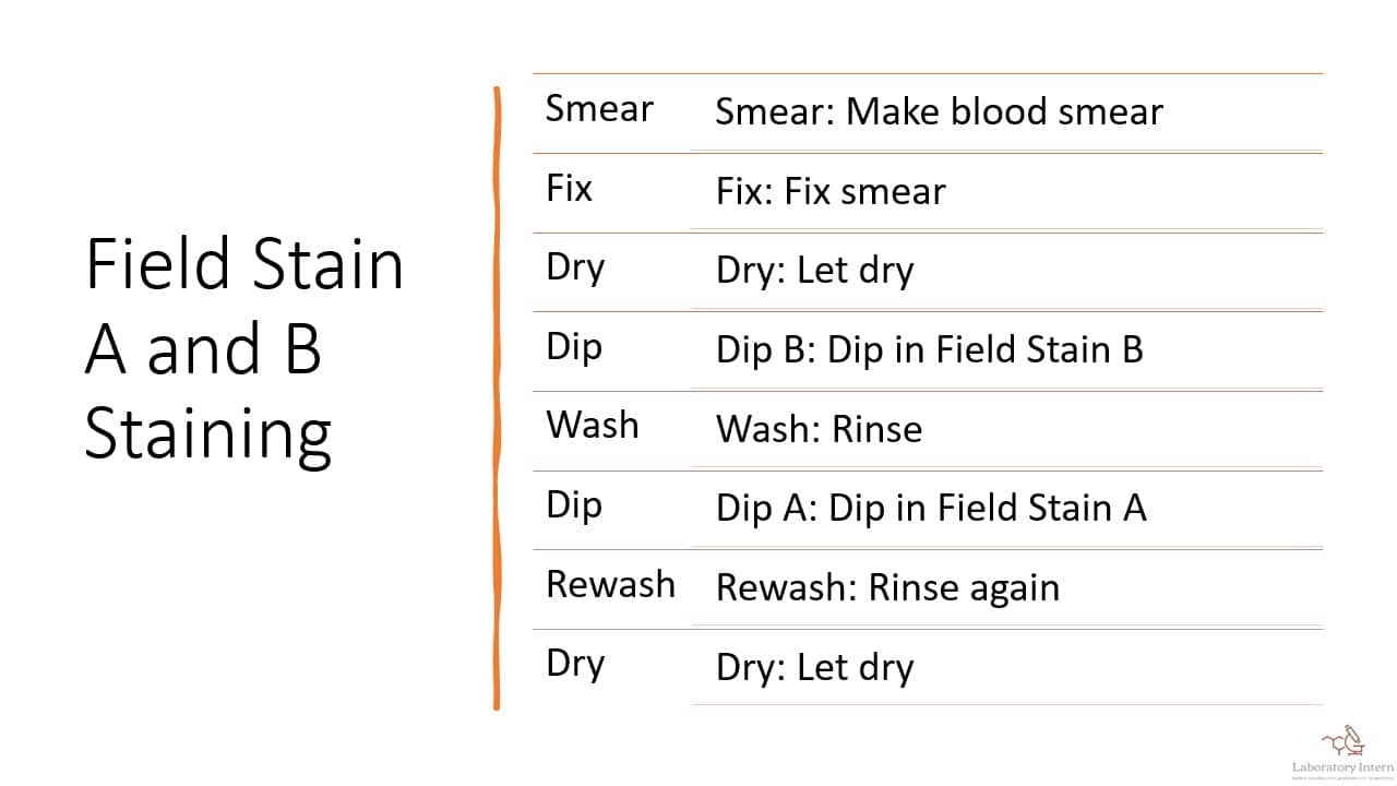 Field Stain A and B Staining procedure, principle, and results