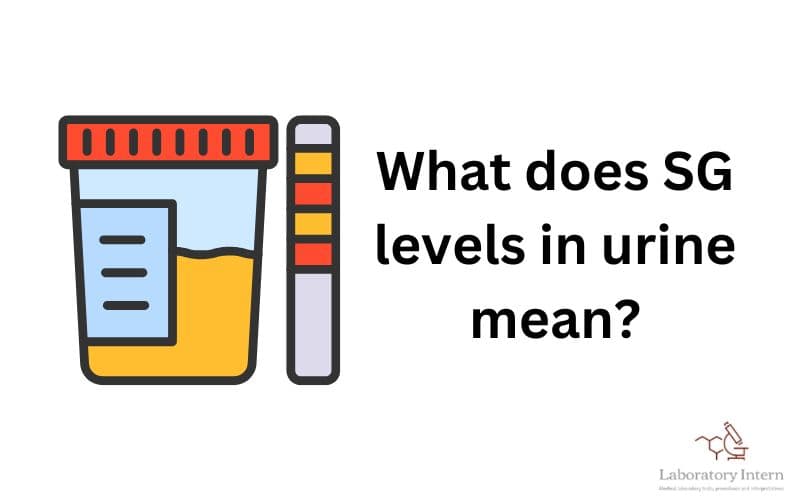 LaboratoryIntern - Medical Laboratory Tests, Notes, and News.